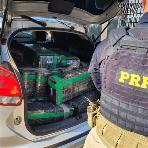 PRF APREENDE QUASE MEIA TONELADA DE MACONHA EM ASTORGA Londrina News