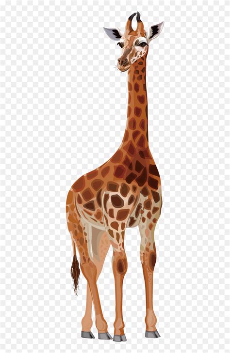 Detail Giraffe Png Transparent Koleksi Nomer