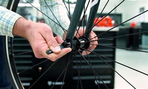 Como Cambiar Llanta Trasera De Bicicleta Descuento Online