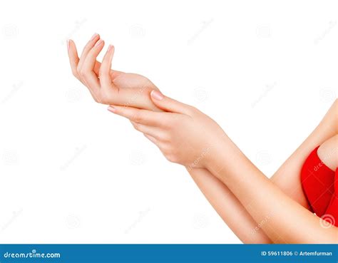 Beautiful Female Hands Stock Photo Image Of Beautiful