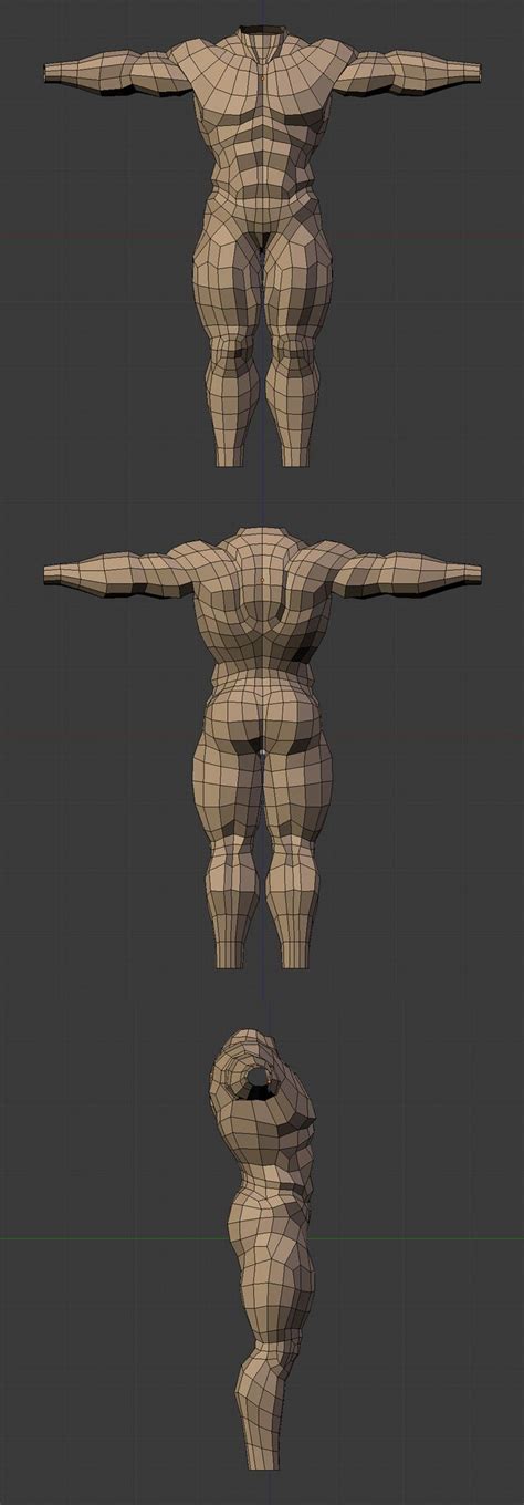 Anatomy Topology Study By Dude Andy From PolyCount Maya Modeling