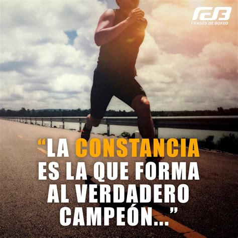 60 Frases De Constancia Y Disciplina Para Lograr Tus Objetivos Y Metas