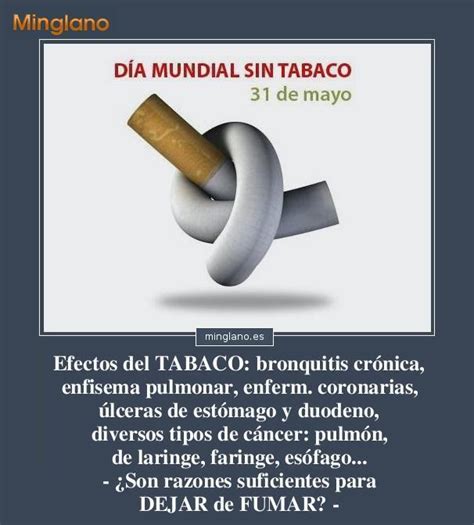 FRASES para el DÍA MUNDIAL SIN TABACO