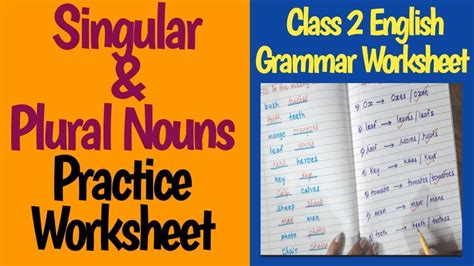 Singular Plural Nouns Singular Plural Nouns Worksheets Class 2