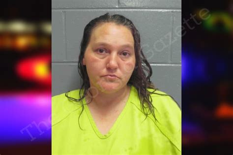 Ashleigh Vinson Lee County Jail Bookings