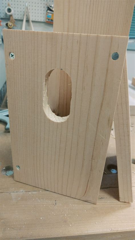 How To Build A Simple Bluebird Nest Box GeorgiaPellegrini