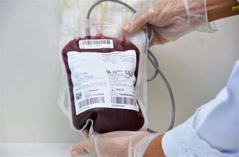 Hemoal promove coleta externa de sangue em Maceió nesta terça feira 5