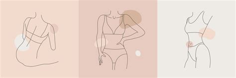 Vector Set Of Woman Body Line Art Illustration Minimalist Female