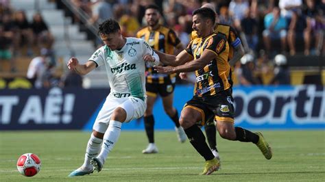 Palmeiras x Novorizontino onde assistir escalações pelo Paulistão