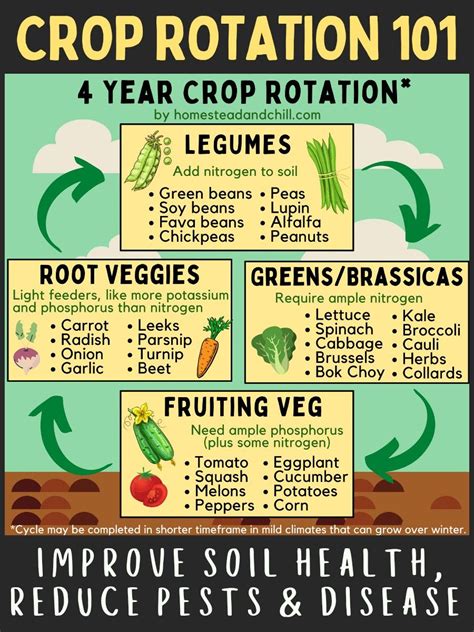 How To Practice Crop Rotation Benefits Explained Artofit