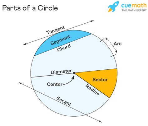 Parts Of A Circle GCSE Maths Steps Examples Worksheet Atelier Yuwa