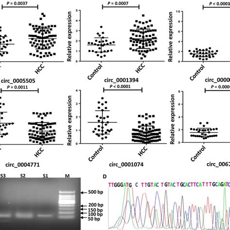 Validation Of The Expression Of Selected Circular Rnas Circrnas By