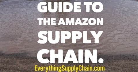 Your Guide To The Amazon Supply Chain