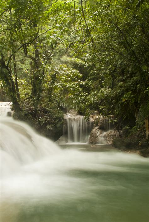 Images Gratuites arbre eau la nature cascade ruisseau région