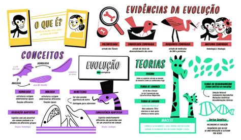 Evolu O Mapa Mental Mapas Mentais Evolucionismo