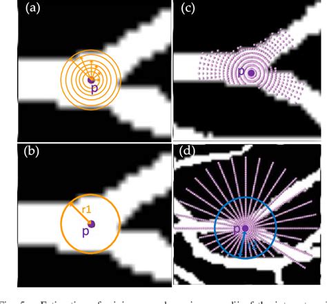 figure 10 from efficient critical point detection for curvilinear structures using a ring like