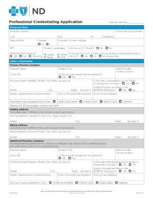 Fillable Online BND Professional Application FILLABLE 29318270B Fax