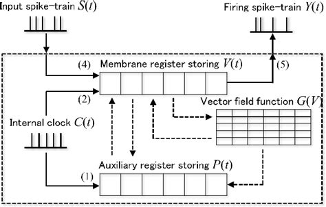 figure 1 from a novel hardware efficient spiking neuron model based on asynchronous cellular