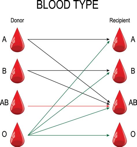 Unlocking The Future Of Blood Donation Dynarex Corporation