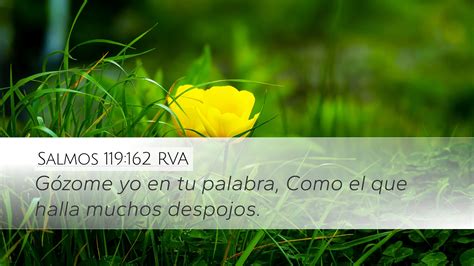 Salmos 119 162 RVA Desktop Wallpaper Gózome yo en tu palabra Como el