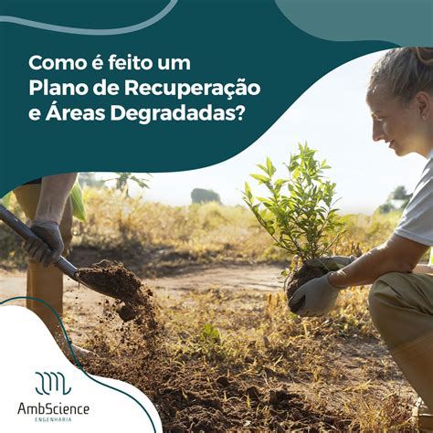 Como é feito um Plano de Recuperação de Áreas Degradadas AmbScience