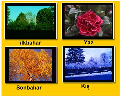 TÜRKİYEDE GÖRÜLEN BAŞLICA İKLİM TİPLERİ VE ÖZELLİKLERİ Efsane1Türk