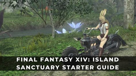 Final Fantasy XIV Island Sanctuary Starter Guide KeenGamer