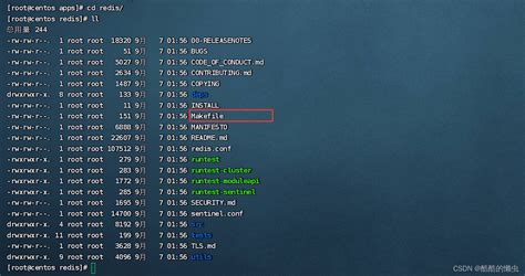 linux 系统安装 redis7 —— 超详细操作演示！ linux安装redis 7 2 3 tar gz csdn博客