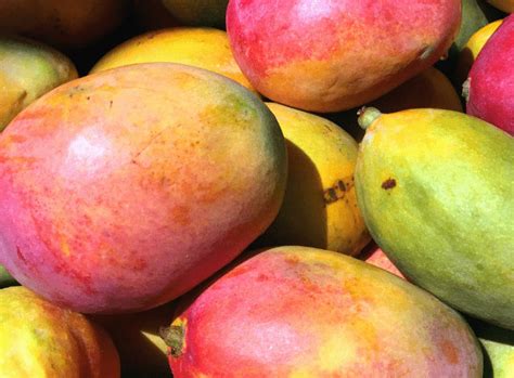 Propiedades Y Beneficios Del Mango Grupo Bola Os
