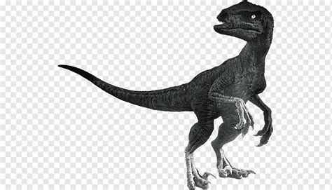 Velociraptor universal s tyrannosaurus stygimoloch parque jurásico