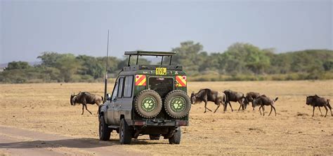 Days Masai Mara Safari Kenya Tours And Safaris