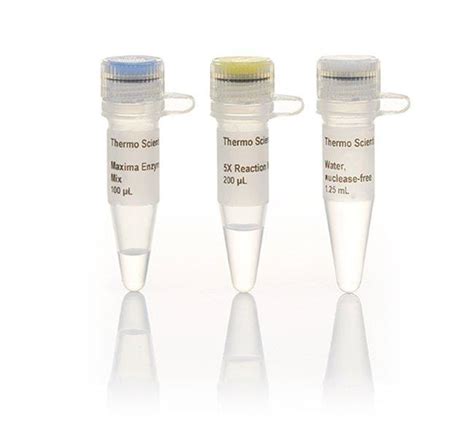 Maxima First Strand CDNA Synthesis Kit For RT QPCR