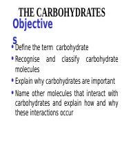 6 Structure And Function Of Carbohydrates Ppt THE CARBOHYDRATES