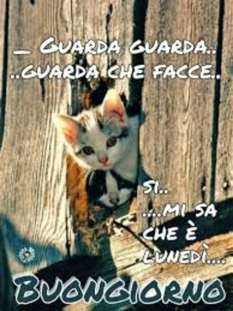 Pin Tillagd Av Anna Maria Evangelisti P Buongiorno