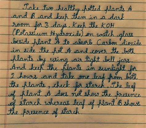 Describe An Experiment To Prove That Carbon Dioxide Is Essential For