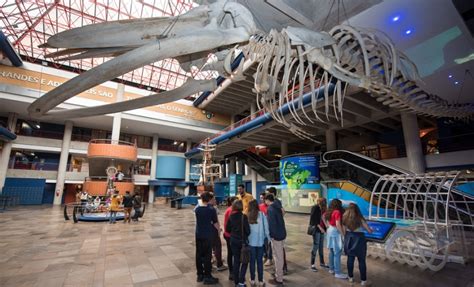 Museu de Ciências e Tecnologia da Pucrs tem programação especial de férias