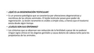 ATROFIA TESTICULAR Y Degeneracion Testicular Pptx Pptx