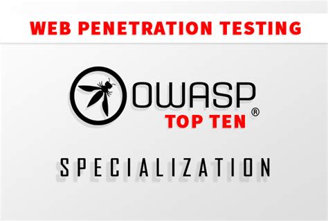Test For Security Vulnerabilities Using Owasp Top Guide By Ryllan
