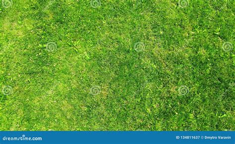 Green Grass Texture Background Aerial Stock Image Image Of Meadow
