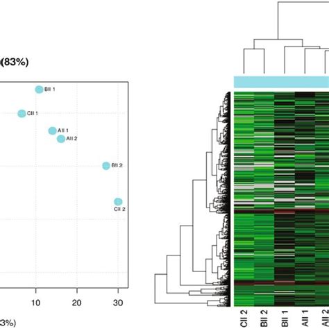 a principle component analysis pca and b hierarchical cluster download scientific diagram