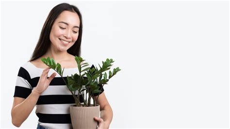 El Truco Perfecto Para Limpiar Y Cuidar Las Hojas De Tus Plantas Paso