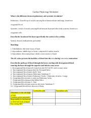 SI Chapter 9 Worksheet Docx Cardiac Physiology Worksheet What Is The