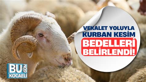 Vekaletle kurban fiyatları ne kadar Vekalet yoluyla kurbanlık