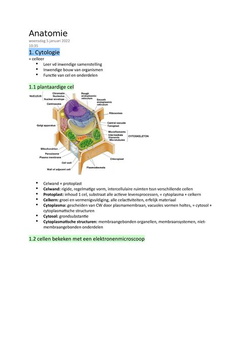 Anatomie Samenvatting Toegepaste Plantkunde Anatomie Woensdag 5