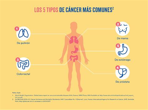 Cáncer la importancia de la detección precoz Diario Salud Estar
