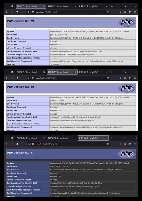 Multi Version PHP With Nginx On NixOS Containerized And Not