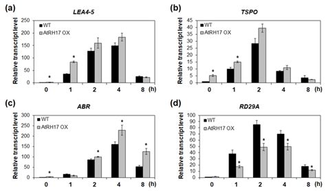 Expression Analysis Of Three Stress Responsive Genes In AtRH17 OXs