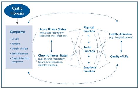 Figure 52 Simplified Concept Map For Cystic Fibrosis Registries For
