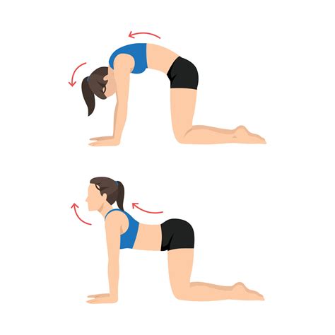Frau macht Yoga Katze Kuh Stretch Übung 5178331 Vektor Kunst bei Vecteezy