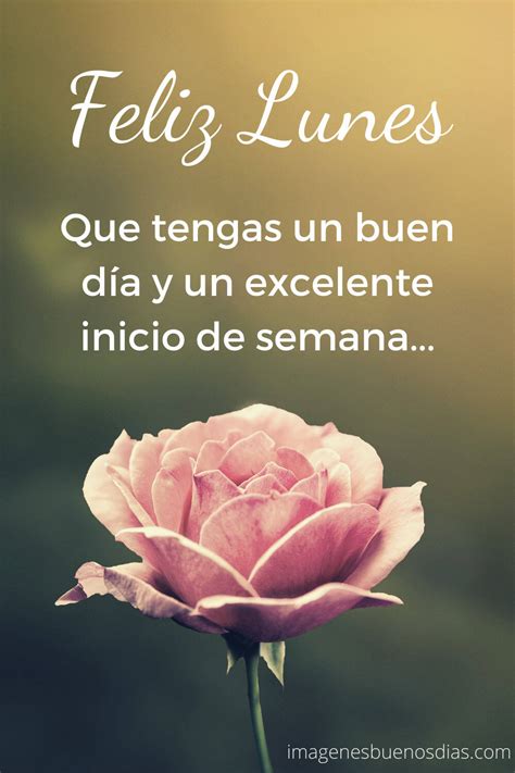 Buenos Dias Feliz Lunes Frases